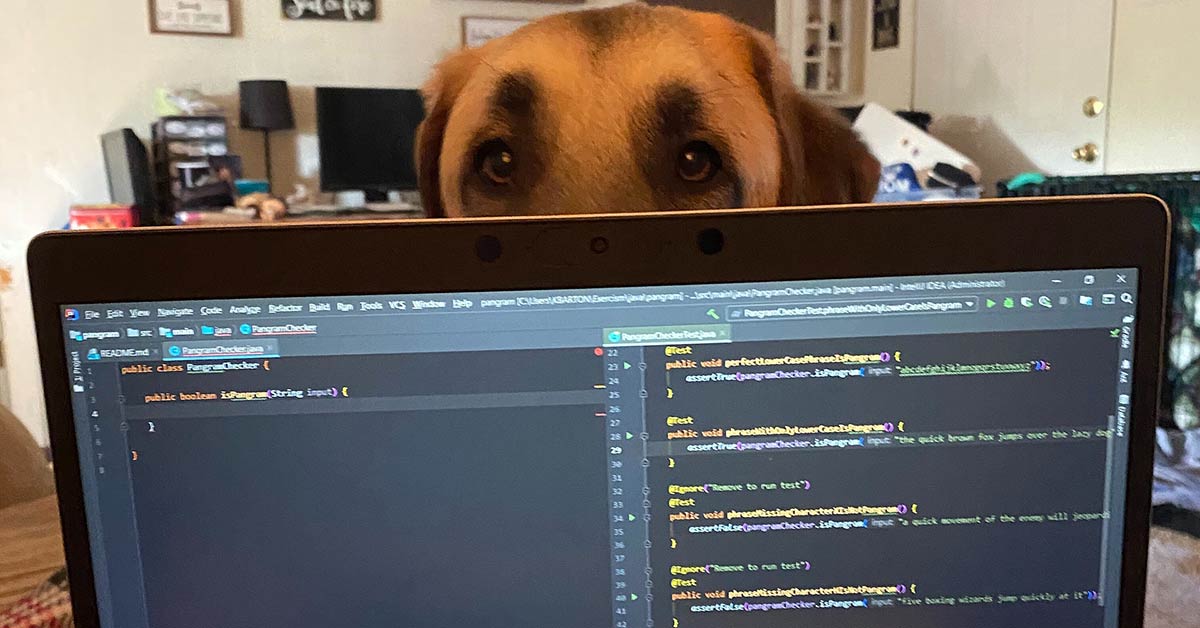 Codefi | LaunchCode to Code Labs One to a Career in Tech - Kayla’s Story